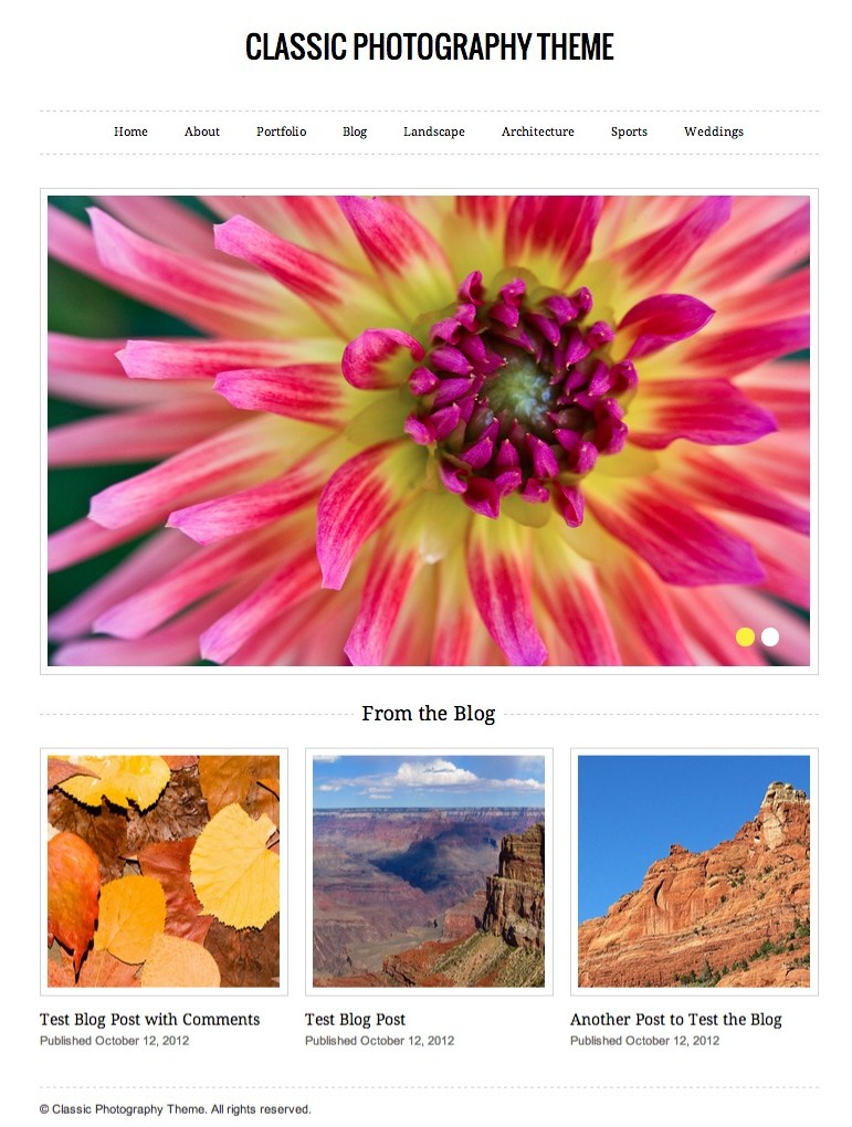 25 Of The Best Wordpress Photography Themes - SaveDelete