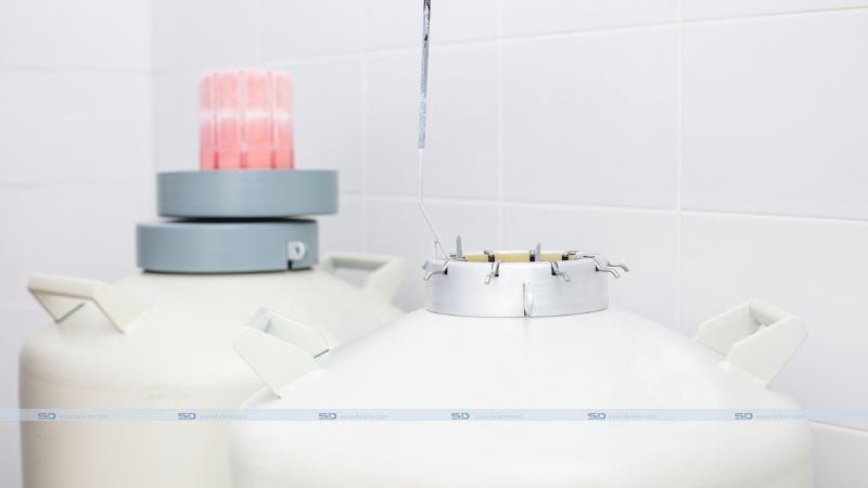 What You Need to Know About Transporting Frozen Embryos - SaveDelete